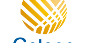 Celesc Eletricidade - Potencial Eletricidade